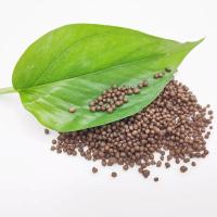 China Diammonium Phosphate DAP 18-46-0 Fertilizer - 42-46% P2O5, 15-18% Nitrogen, Fully Water-Soluble Granular for sale