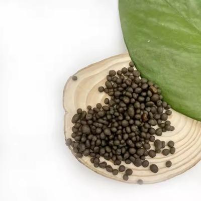 China Diammonium Phosphate DAP Fertilizer 18-46-0 Brown Granular 2-5mm Size 50kg Bags for sale