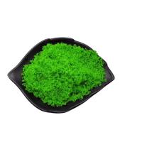 China 20-20-20 NPK Water Soluble Fertilizer Granular 50kg Bag for Agricultural Crop Nutrition for sale