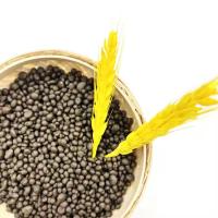 China Diammonium Phosphate DAP Fertilizer Granular 2.0% Max Moisture 60×40×20 cm Packaging for sale