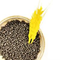 China Diammonium Phosphate DAP Fertilizer Granular 2.0% Max Moisture 60×40×20 cm Packaging for sale