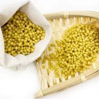 China Shandong Origin Diammonium Phosphate DAP Fertilizer Granular 50kg Bag High Purity for sale