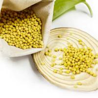 China High Purity DAP Diammonium Phosphate Fertilizer Granular 2.0% Moisture for Agriculture for sale