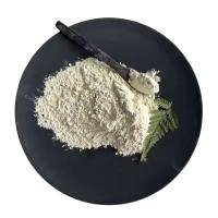 China Industrial Grade White Powder Ferrous Sulfate Monohydrate FeSO4·H2O - 330°C Boiling Point, Non-Hazardous Feed Additive for sale