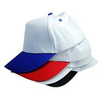 China DIY Custom Logo Multicolor Blank Sublimation Hats For Photos Printing Versatile Styles for sale