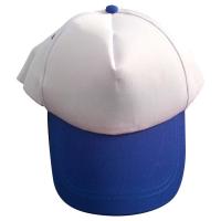 China DIY Custom Logo Multicolor Blank Sublimation Hats For Photos Printing Versatile Styles for sale