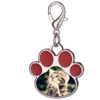 China Diy Printing Pets Sublimation Dog Name Id Tags Pendant Zinc Alloy Paw Shaped Sublimation Dog Tags for sale