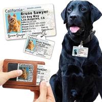China Blanks Personalized PET License Tag For Pets Sublimation MDF Dog ID Anti-Lost Card Licence Plate Dog Tags for sale