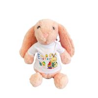 China DIY 30cm Sublimation Stuffed Animals Easter Bunny Plush Toy With Customizable T Shirt for sale