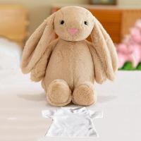 China DIY 30cm Sublimation Stuffed Animals Easter Bunny Plush Toy With Customizable T Shirt for sale