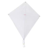 China Customized Photo Printing Sublimation Blank White Polyester Kite for sale