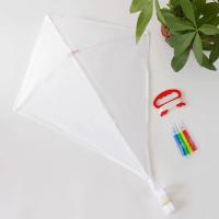 China Customized Photo Printing Sublimation Blank White Polyester Kite for sale