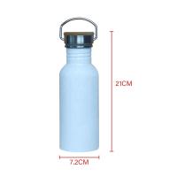 China Sublimation Vacuum Bottle 500ml Stainless Steel Water Bottle Blanks Custom Logo Drink Bottles for sale