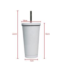 China 500ml And 750ml Sublimation Double Wall Coffee Mug Stainless Steel Sublimation Tumblers With Lid And Straw Sublimation Blanks Tumbler for sale