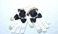 China Personalized Blank Sublimation Touchscreen Winter Gloves DIY Printed Adult And Kids Warm Gloves for sale
