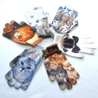 China Personalized Blank Sublimation Touchscreen Winter Gloves DIY Printed Adult And Kids Warm Gloves for sale