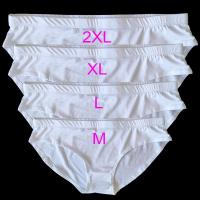 China Personalized 100% Polyester Sublimation Panties Diy Women Underwear Blanks For Heat Press for sale