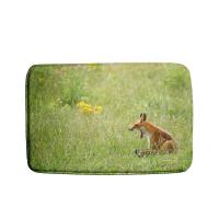 China Sublimation Mat Waterproof Non Slip Heat Transfer Easy Clean Door Mats Indoor Outdoor Entrance Floor Mats For Home Decor for sale