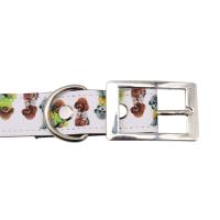 China PU Leather Sublimation Dog Collar Blanks With Adjustable Quick Release Buckle For Puppy Personalized Pet Collar for sale