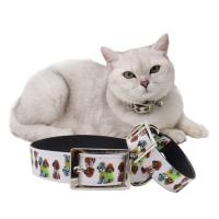 China PU Leather Sublimation Dog Collar Blanks With Adjustable Quick Release Buckle For Puppy Personalized Pet Collar for sale