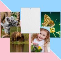 China Sublimation Felt Car Air Freshener Blank Car Aroma Scent Patch for sale