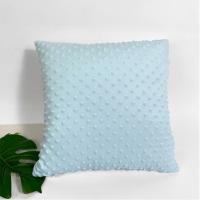 China Home Decor 40×40cm Comfort Sublimation Fleece Minky Pillowcase Back With Short Plush for sale