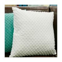 China Home Decor 40×40cm Comfort Sublimation Fleece Minky Pillowcase Back With Short Plush for sale