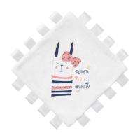 China Baby Gift Ideas Personalized 3D Dot Minky Taggy Blanket Knitted Animal Pattern Sublimation Plush Blanket With Ribbon Tags for sale