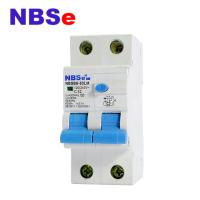 China NBSM6-63LM C63 Residual Current Breaker With Overload Protection Double Pole for sale
