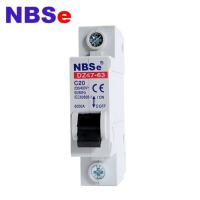 China NBSe DZ47-63 Electrical Micro Circuit Breakers, IEC60898 Standard for sale