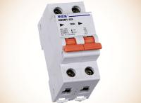 China Gray AC 2P Industrial Type Circuit Breaker Double Pole 6kA NBSM1-125 Series for sale