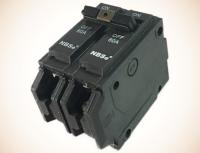 China NBSe TQL 2P 60A 10KA Plug In Circuit Breaker ,thermal overload protector AC 125~250V for sale