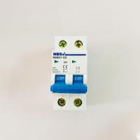 China 2P 40A Main Electrical Isolator Switch NBSK1-125  Double Contact Design for sale