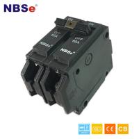 China NBSe TQL 2P 60A Plug Fuse Circuit Breaker 10kA 50/60Hz For Household / Automotive for sale
