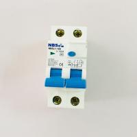 China NBSe 2 Pole Residual Current Circuit Breaker NBSL1-100 Series Small Volume for sale