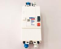 China Africa Type 2p/4p Adjustable Pg Type Differential Circuit Breaker 10-15-20-25-30a for sale