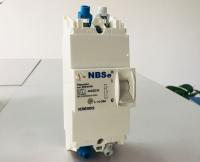 China Compact 240v 3 Phase Module Case Circuit Breaker 2P Poles for sale