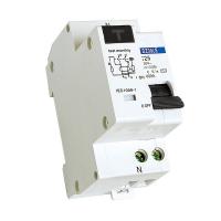 China DZ30LE-32 DZ30LE-63 1P+N RCBO Breaker For Short - Circuit Protection for sale