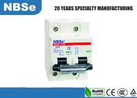 China IEC60947-2 TUV 100A 2 Pole DC Industrial Type Circuit Breaker for sale