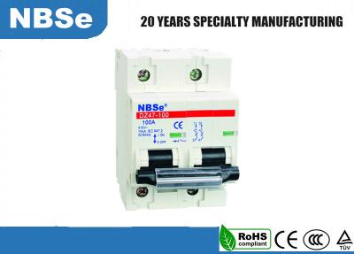 China IEC60947-2 TUV 100A 2 Pole DC Industrial Type Circuit Breaker for sale