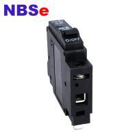 China 120/240V 10Ka Magnetic Release Insert Type 100A MCB Industrial Type Circuit Breaker for sale