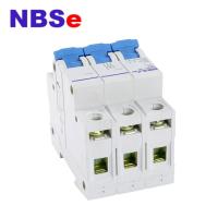 China IEC60898 Double connection 2P 100A Main Switch MCB Circuit Breakers for sale