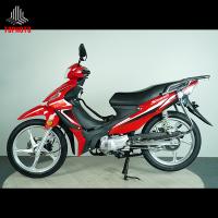 China 125cc Horizontal Air-Cooled Enduro Motorcycle with Electric & Kick Start and 4-Speed Automatic Clutch for sale