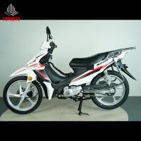 China 125cc Commercial Cargo Motorcycle with 125cc Horizontal Engine, Dual Electric & Kick Start, and 4-Speed Automatic Clutch for sale