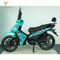China 60V PMSM Electric Motorcycle with 4.8KW Peak Power 166N・m Torque and Removable Battery for Long Range Commuting for sale