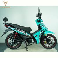 China 60V PMSM Electric Motorcycle with 4.8KW Peak Power 166N・m Torque and Removable Battery for Long Range Commuting for sale