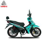 China 60V PMSM Electric Motorcycle with 4.8KW Peak Power 166N・m Torque and Removable Battery for Long Range Commuting for sale