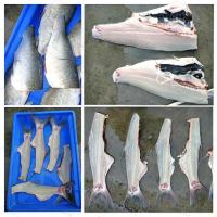 China Factory Price Automatic Frozen Organic Tilapia Fish Fillet Basa Pangasius Fish Fillet Machine for Fish Processing Machine for sale