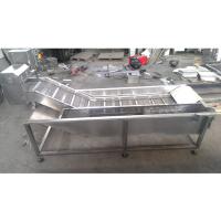 China Stainless Steel Fish Products Ice Coating Machine Beef Meat Ball Ice Coating Machinery Seafood Ice Glazing Machine for sale