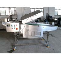 China Good Feedback Frozen Vegetables Ice Coating Machinery Crab Ice Coating Machine Fish Meat Ice Glazing Machine for sale